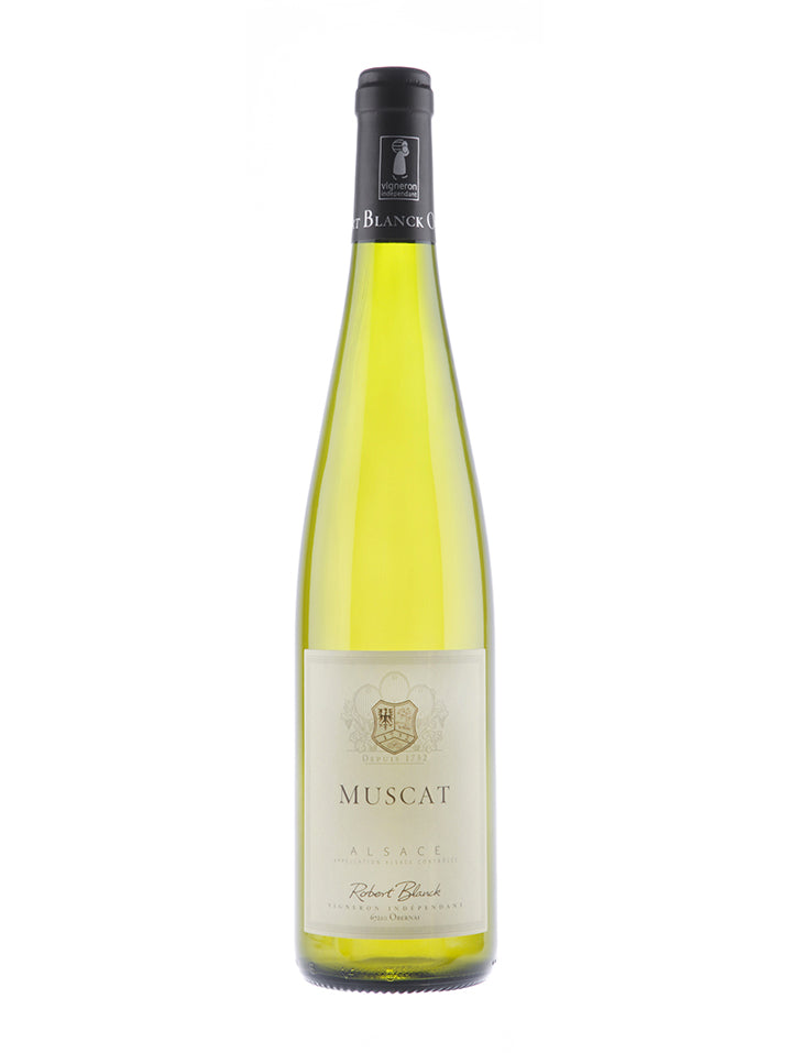 Muscat 2023 – Vins d'Alsace Blanck